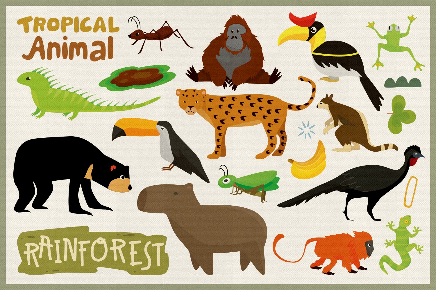 Tropical Animals Vector Clipart and Seamless Pattern