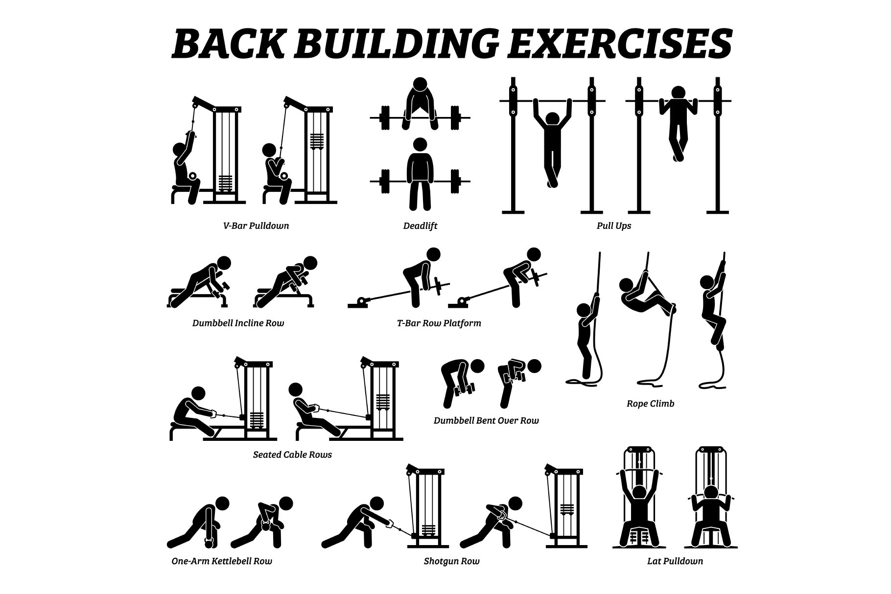 back-muscle-building-exercises-workout-gym-bodybuilding-fit-776490