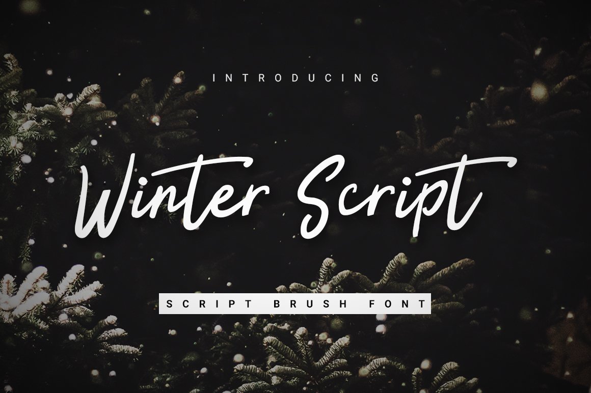 Web Font Winter Script