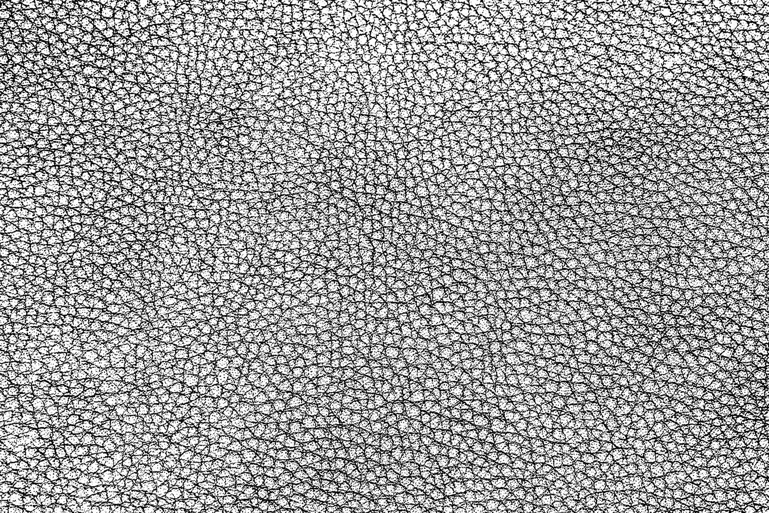 Leather Transparent Textures (356486) | Textures | Design Bundles