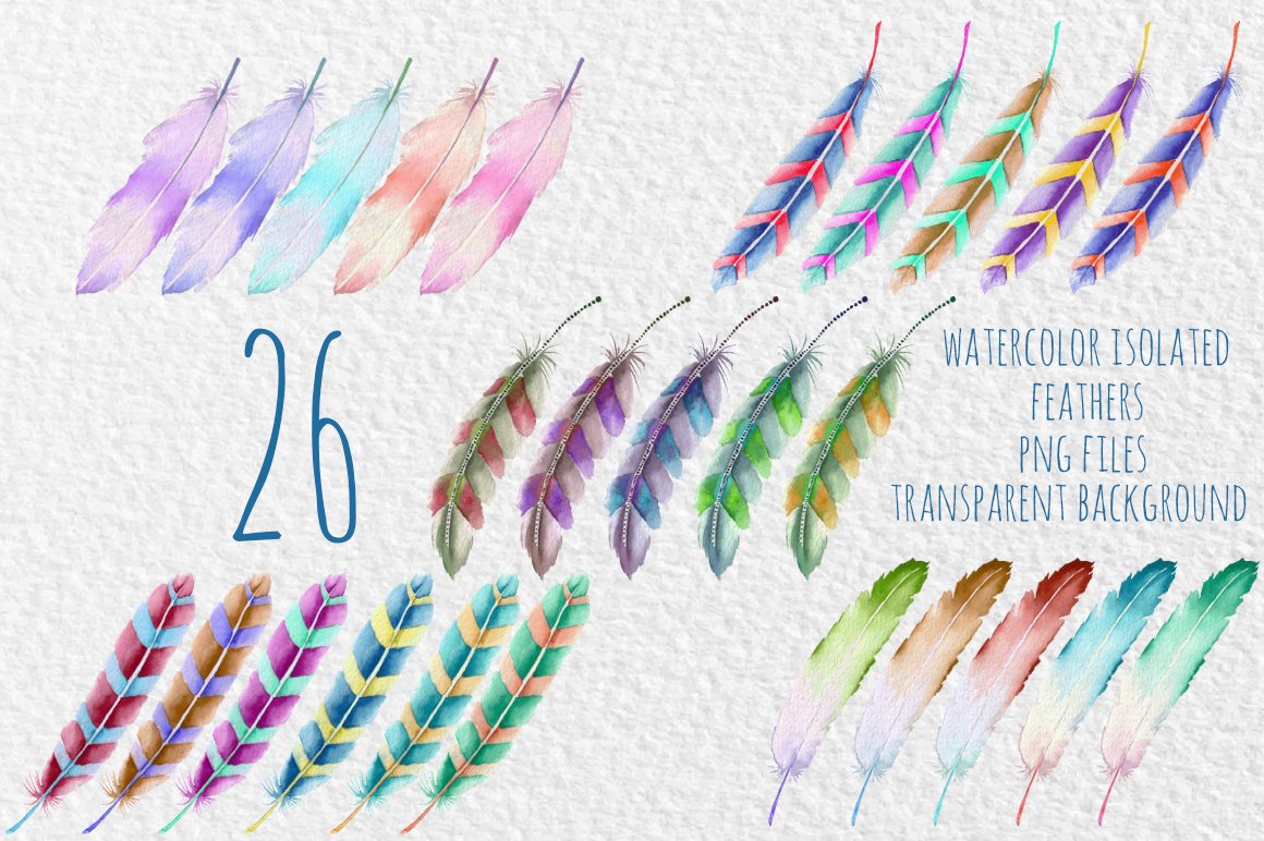 Feathers. Watercolor clip art. (65535) | Illustrations | Design Bundles