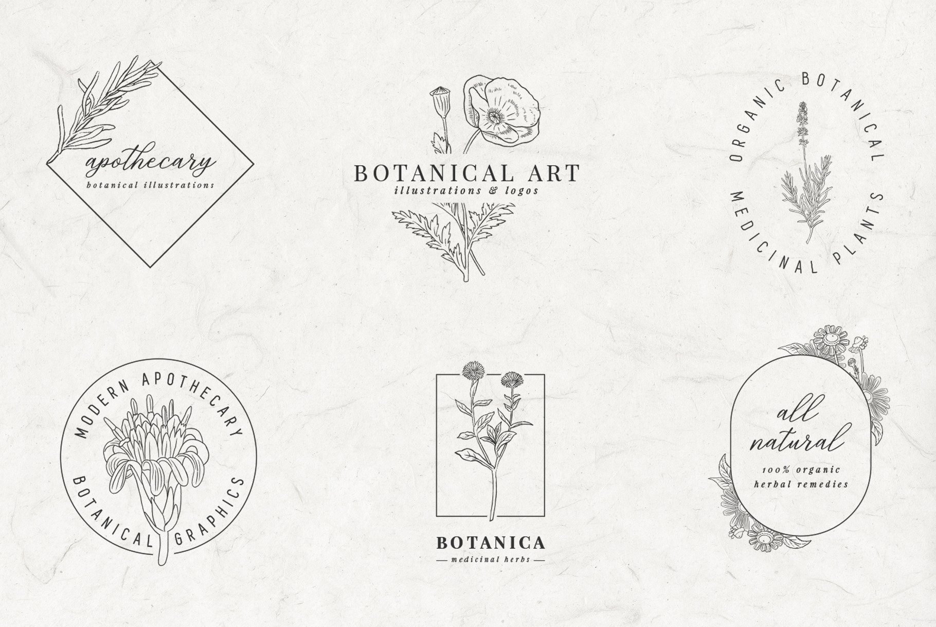 Botanical Apothecary Clipart & Logos (382918) | Illustrations | Design ...