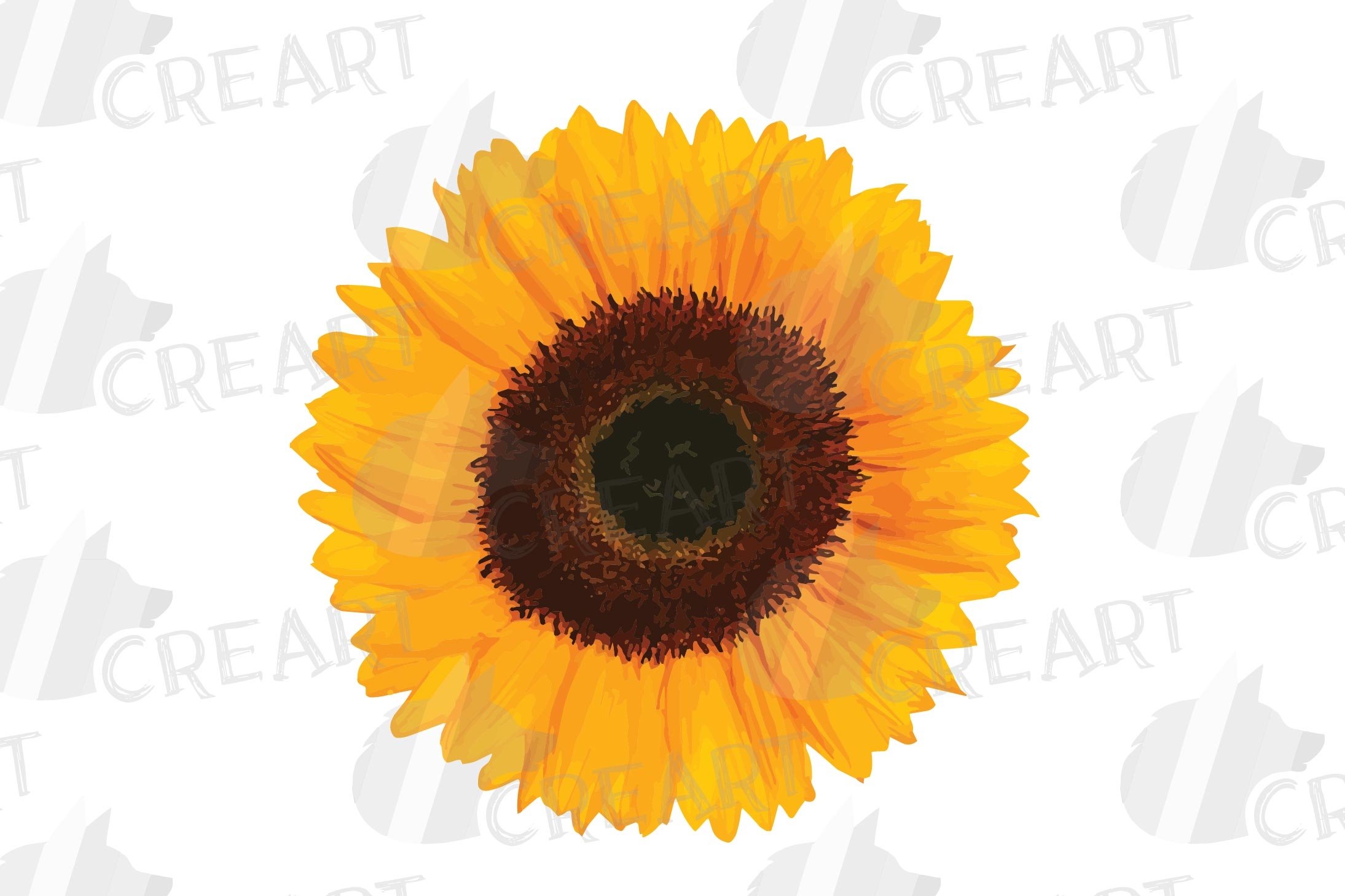 Vector sunflower wedding design elements. Floral decor png. (390604 ...