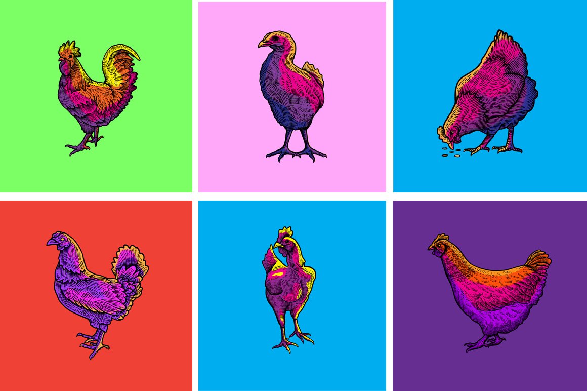 Chicken Vector Collection (638184) | Illustrations | Design Bundles