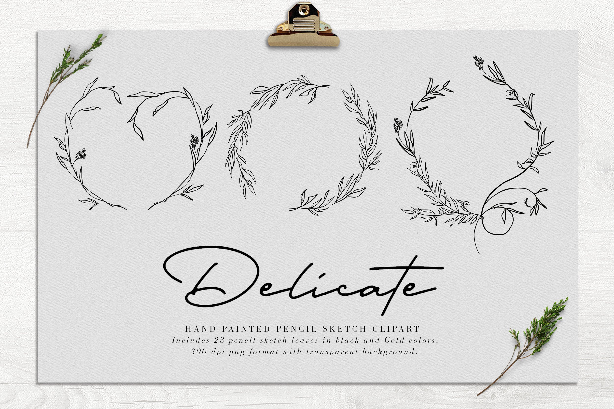 Delicate | Leafs Drawings (518625) | Illustrations | Design Bundles