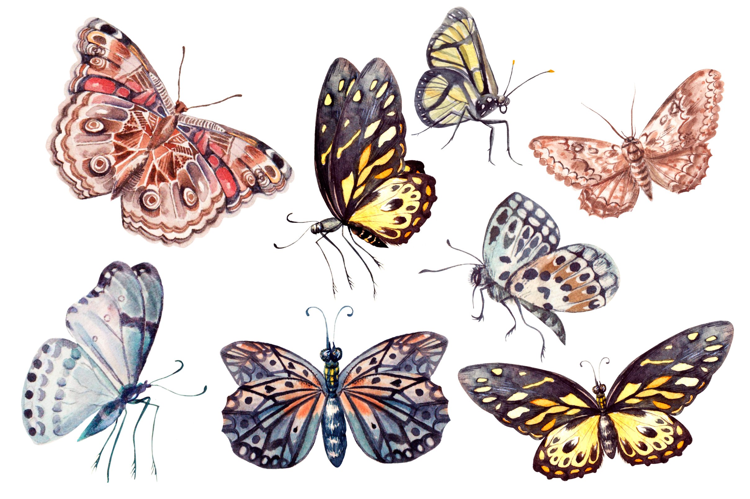 Beautiful watercolor butterflies (39512) | Illustrations | Design Bundles