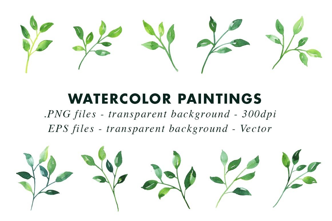 Watercolor Leaves Illustration ClipArt PNG & EPS Vector
