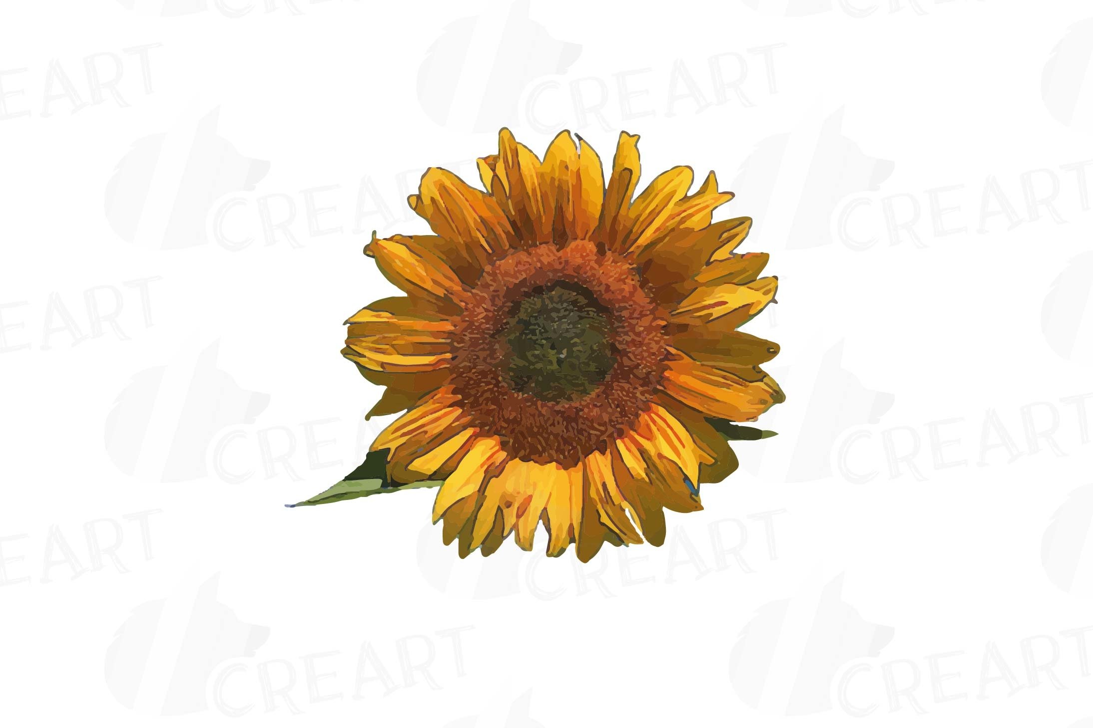 Sunflower watercolor clip art pack, sunflower decoration (104140 ...