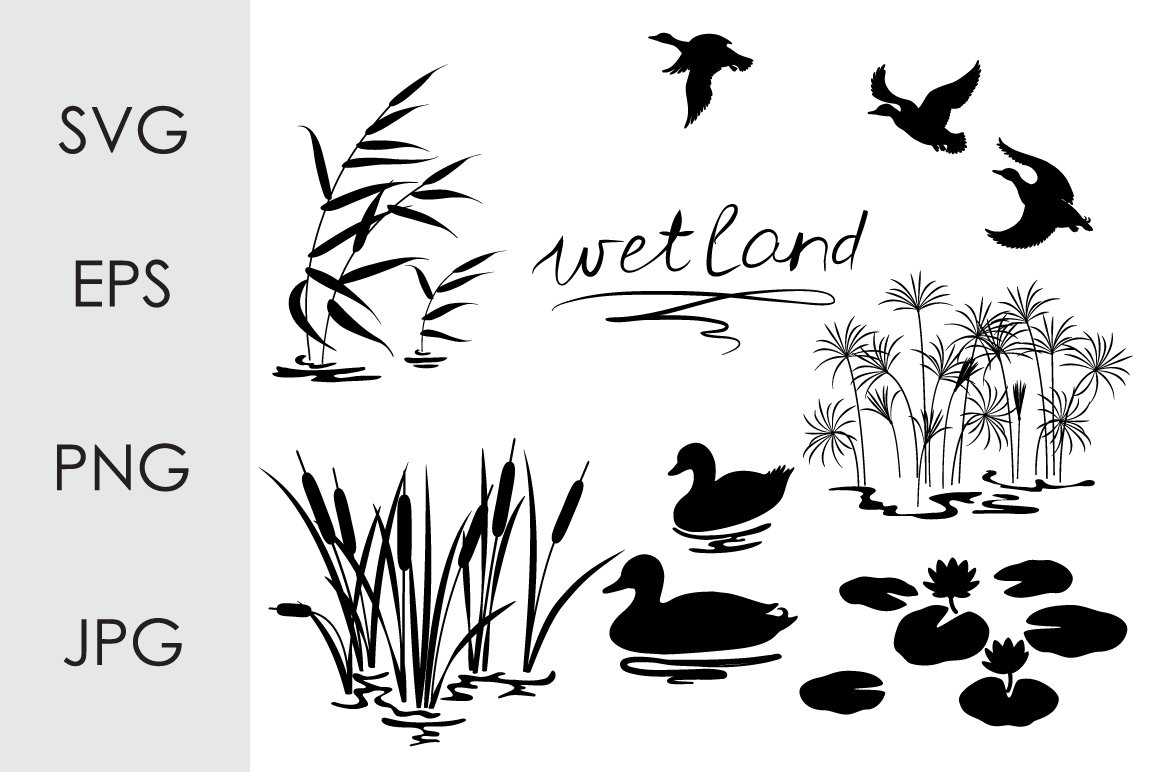 Monochrome Wetland Set SVG, PNG files (904712) | Illustrations | Design ...