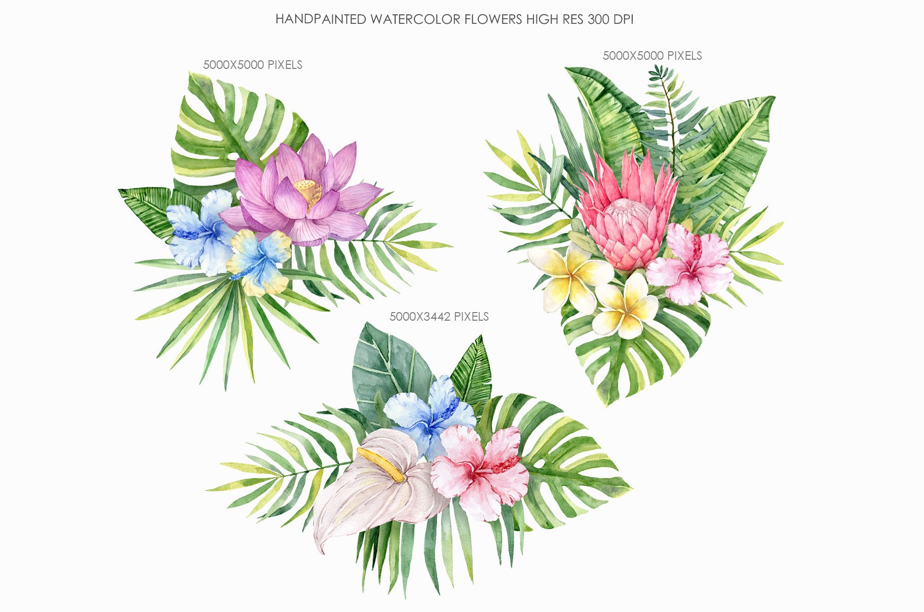 Watercolor Tropical Flowers Bouquets clipart. Exotic flowers (927419 ...