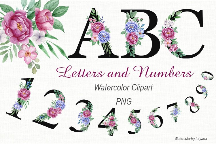 Alphabet with watercolor flowers, letters, (1972416)