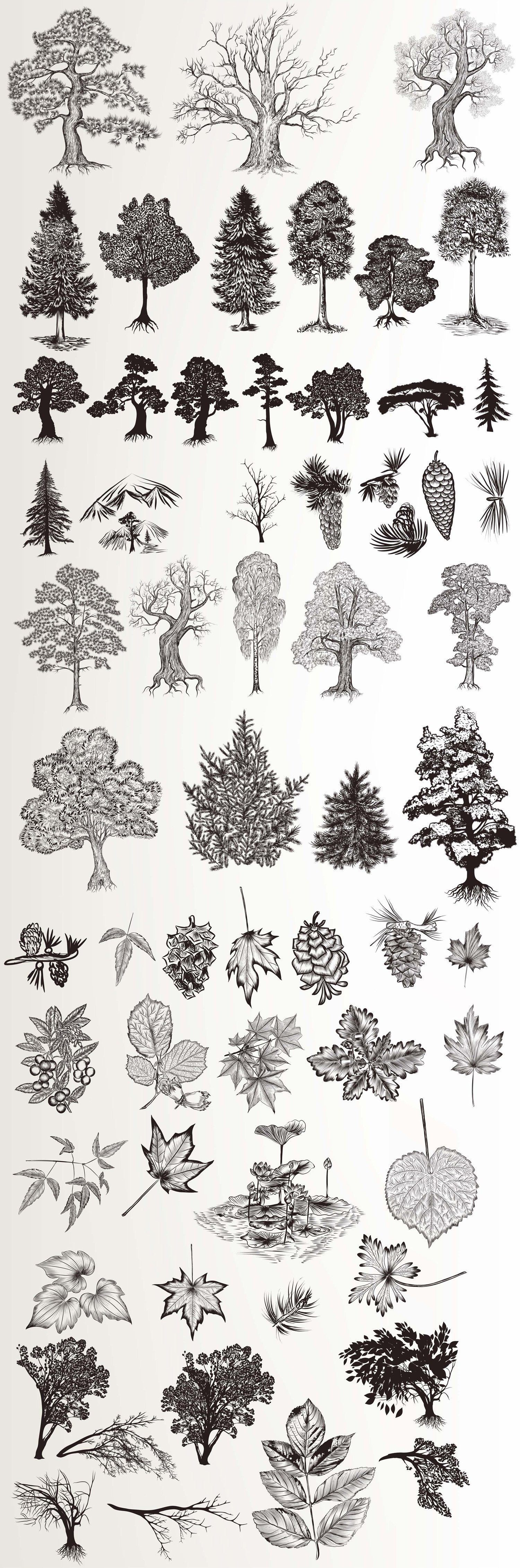 Big set of detailed vector trees (96795) | Illustrations | Design Bundles