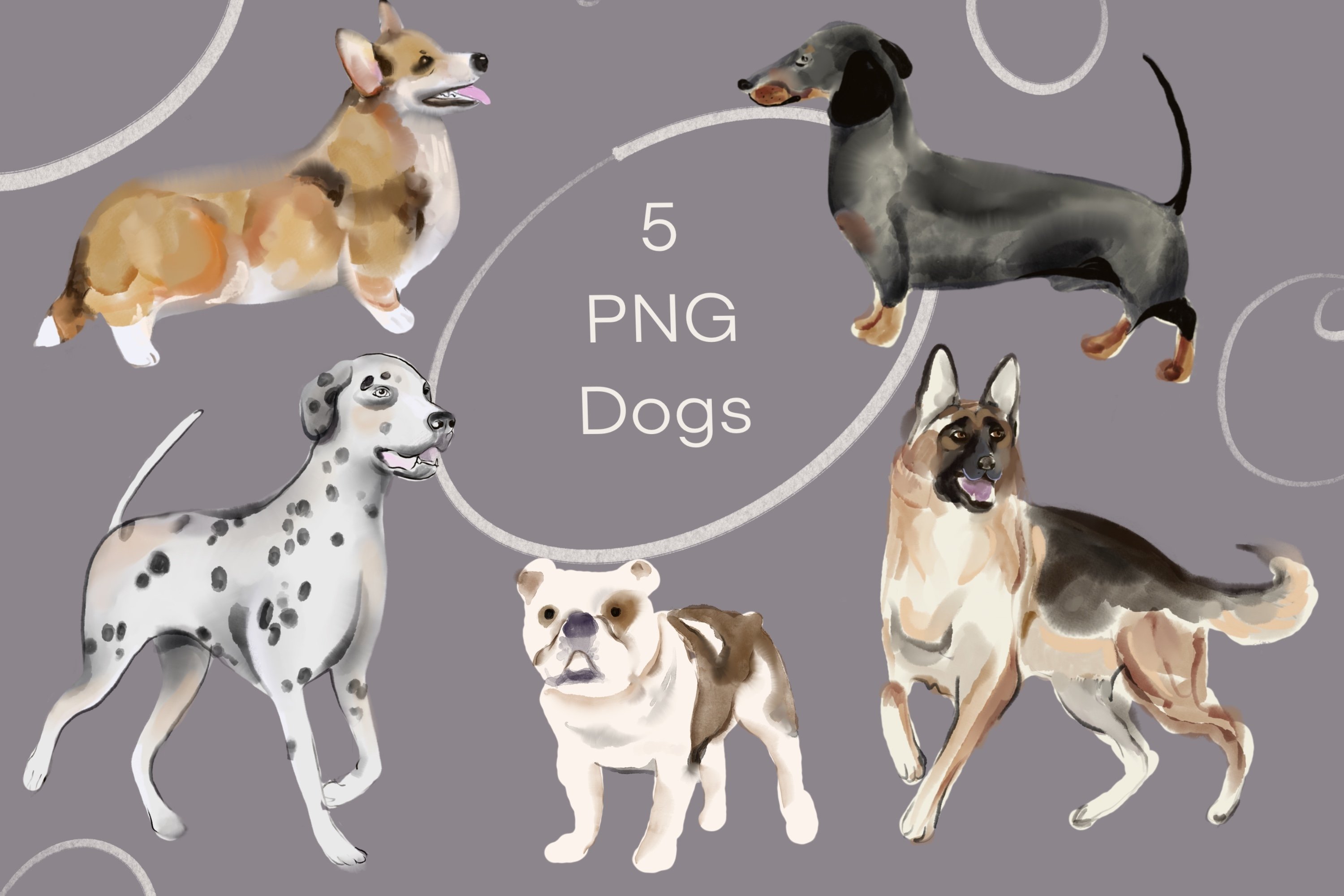 dog breeds clip art illustration (1800111) | Elements | Design Bundles
