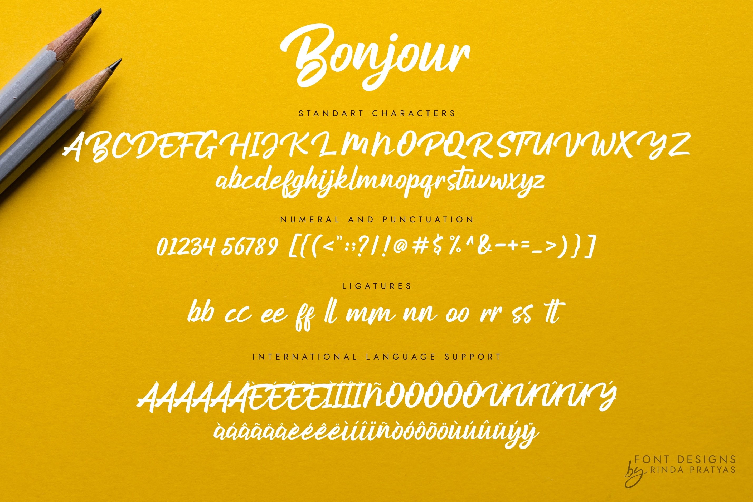Bonjour Modern Script Font (575617) | Brush | Font Bundles