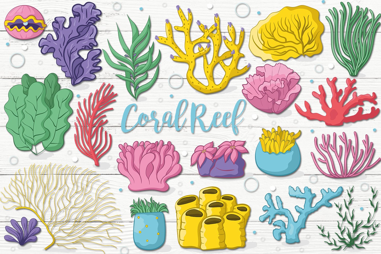 Coral Reef
