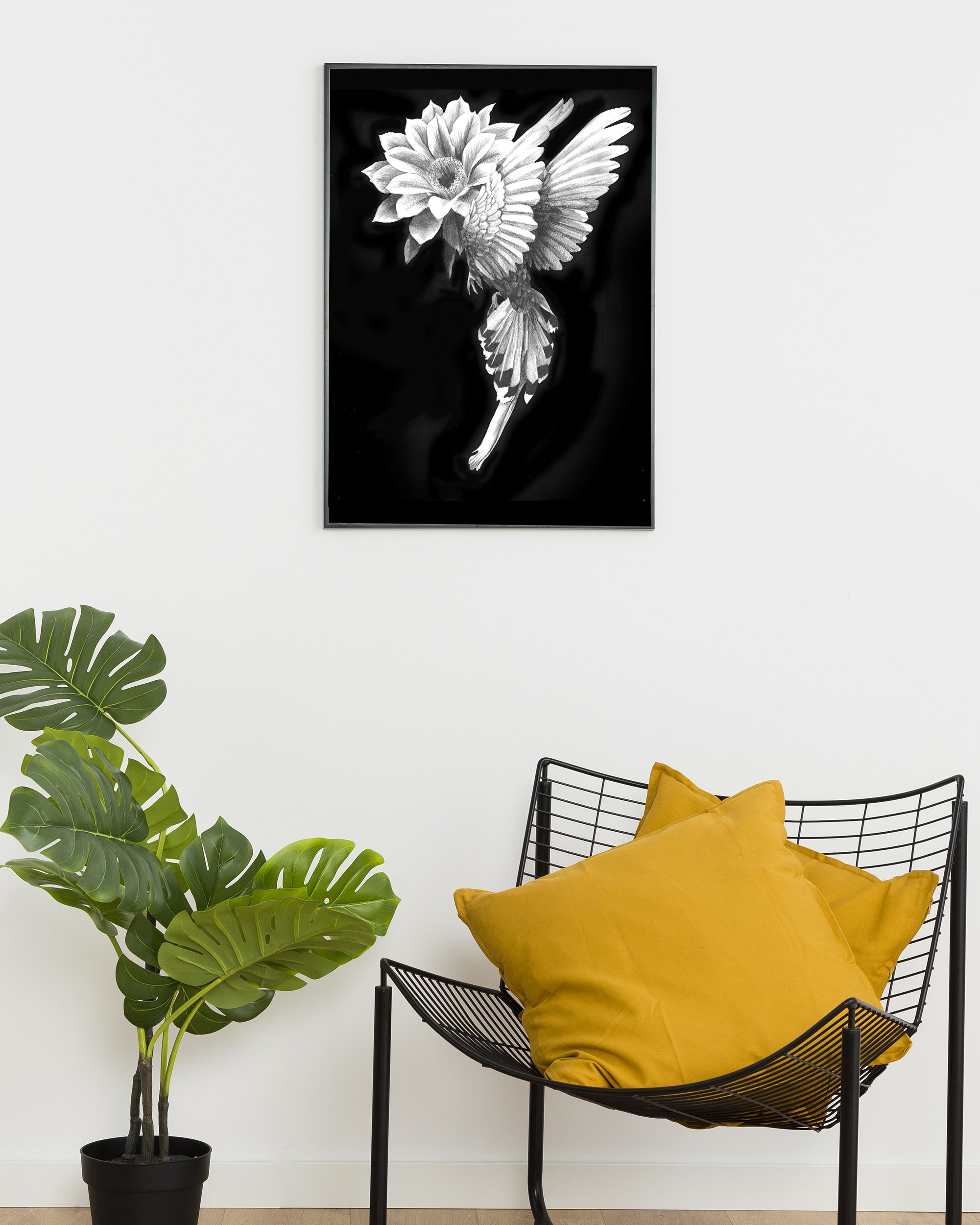 Printable Wall Art Parrot and Flower, Pencil Illustration (542536 ...