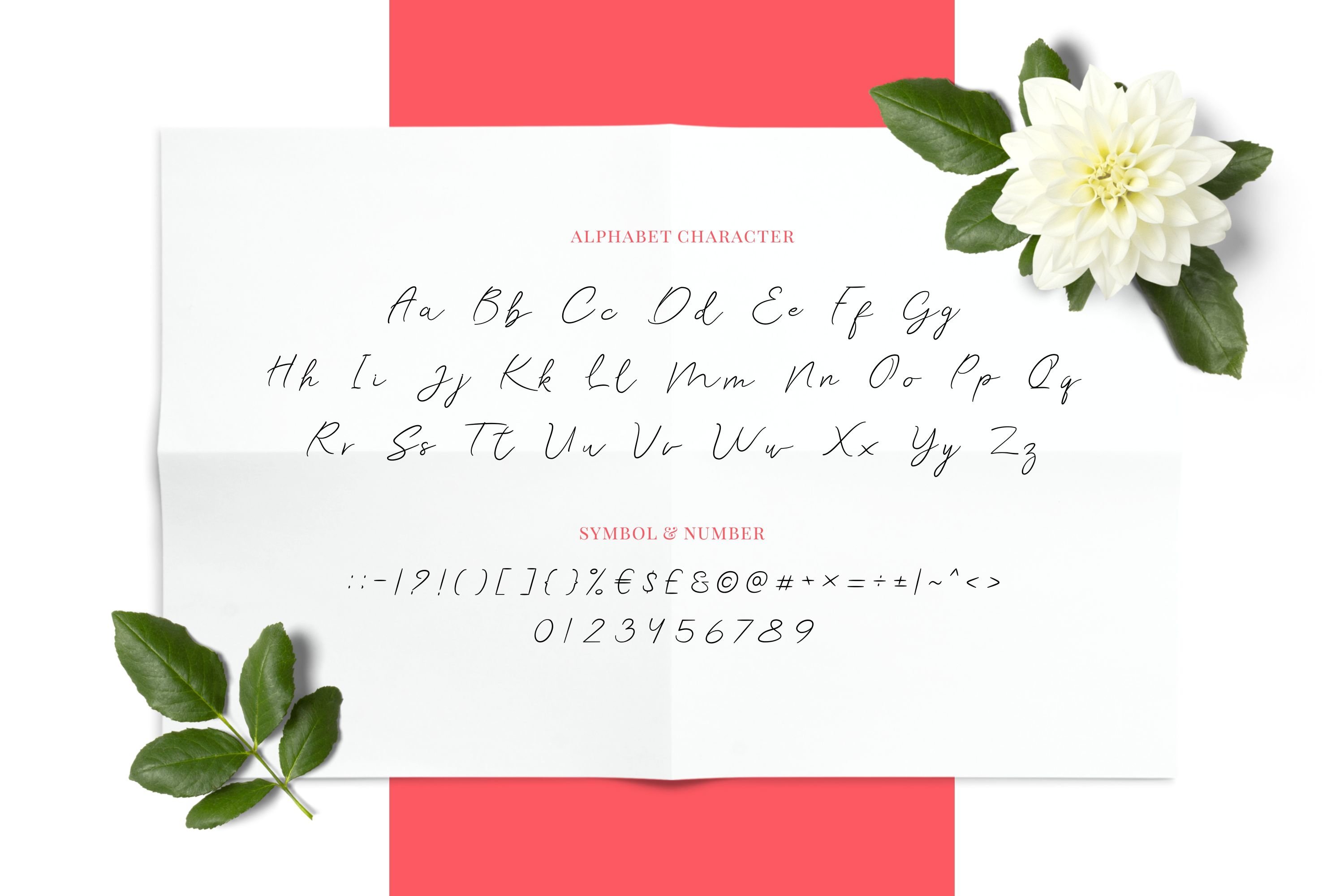 Rei Biensa - Casual Signature Script Typeface (565770) | Handwritten ...