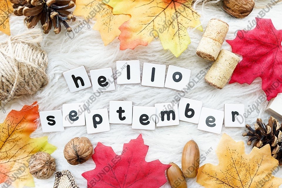 September Leaves Images