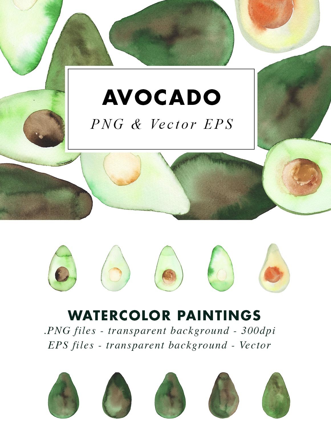 Watercolor Avocado Illustrations Clip Art in PNG & EPS