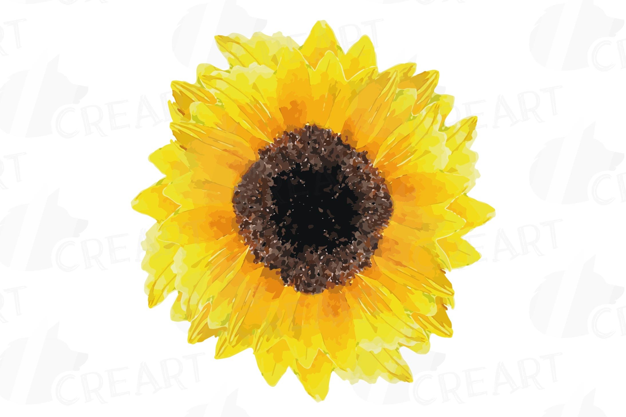 Sunflowers watercolor clip art pack 2, watercolor sunflower (162801 ...