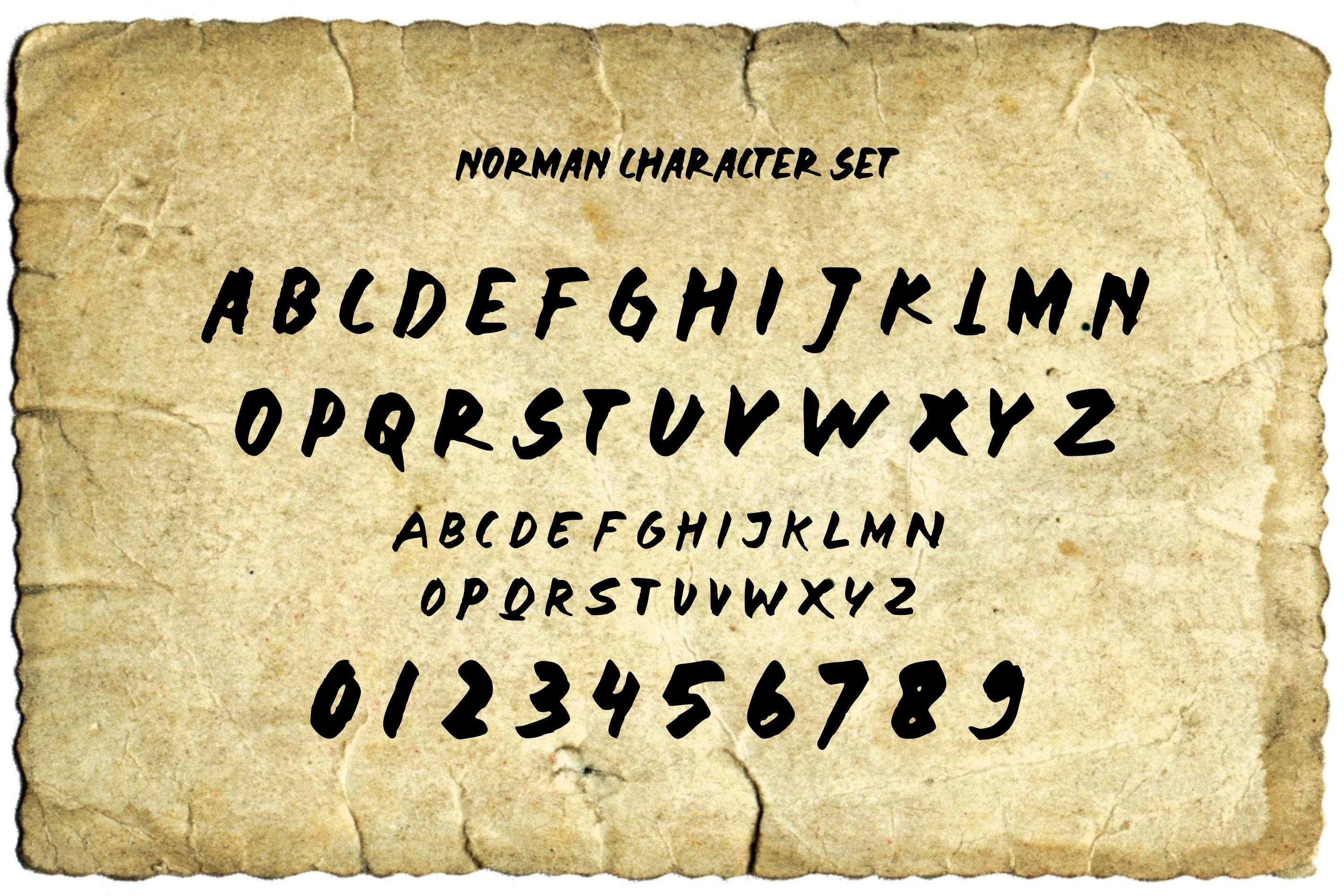 Norman Display Font (19436) | Script | Font Bundles