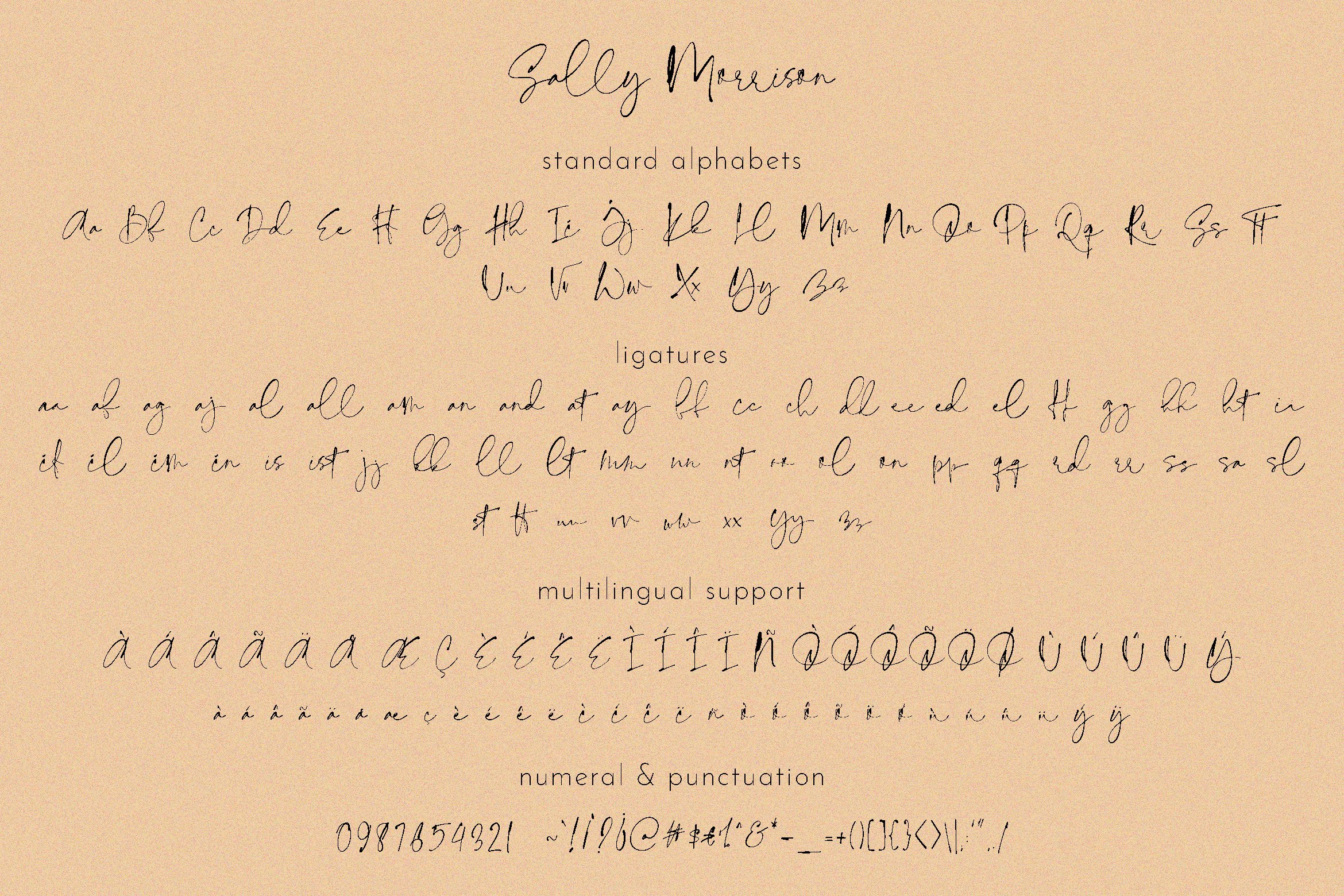 Sally Morrison Script & Serif (458060) | Script | Font Bundles