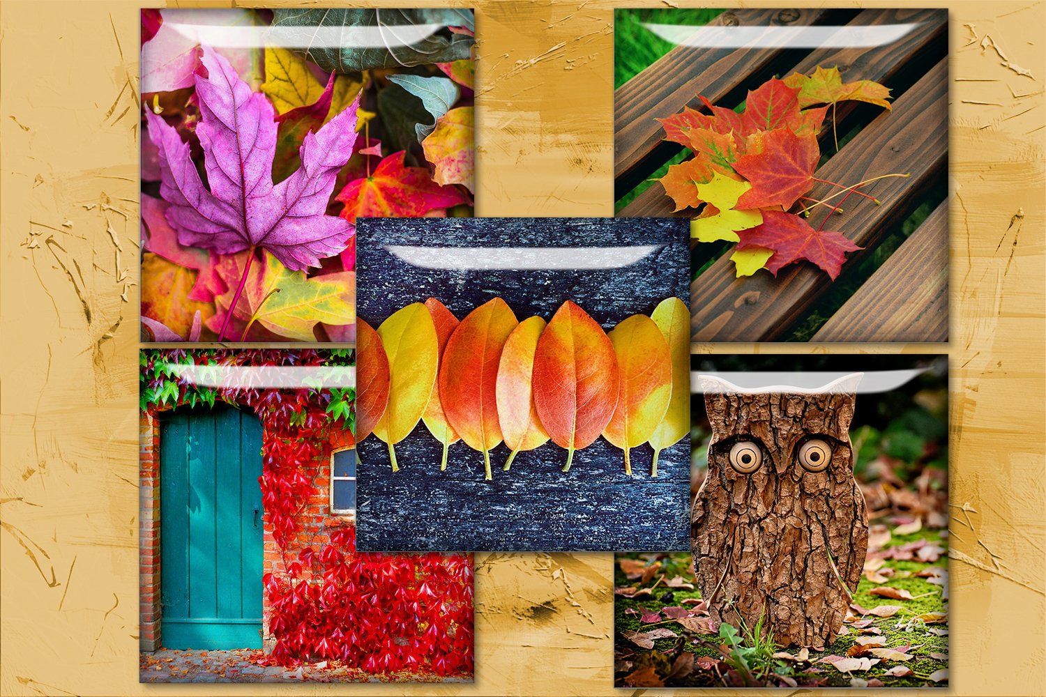 Fall Leaves, Digital Collage Sheet,2x2,1.5x1.5,1x1inch,sheet (185498 ...