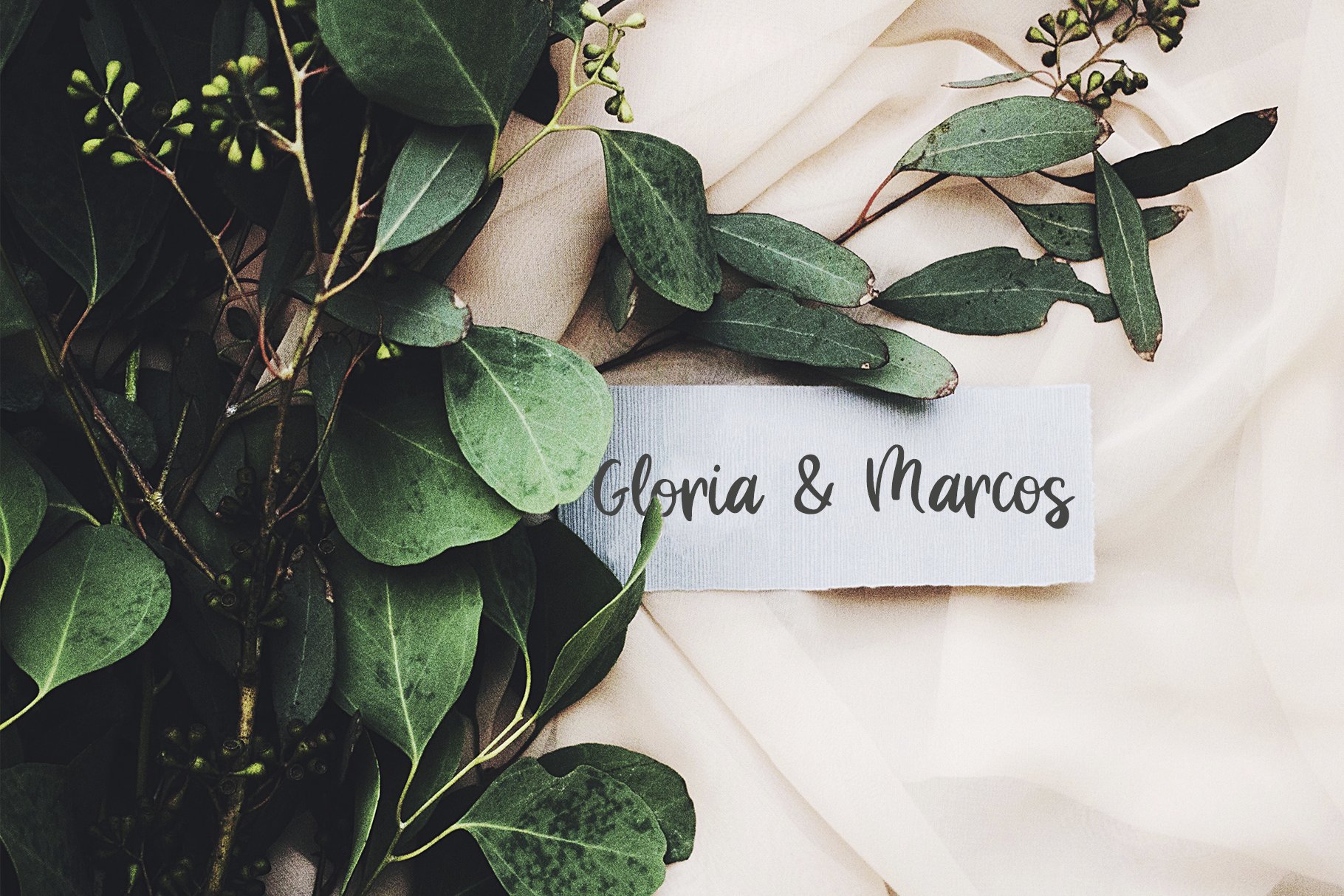 Zuma (158662) | Script | Font Bundles