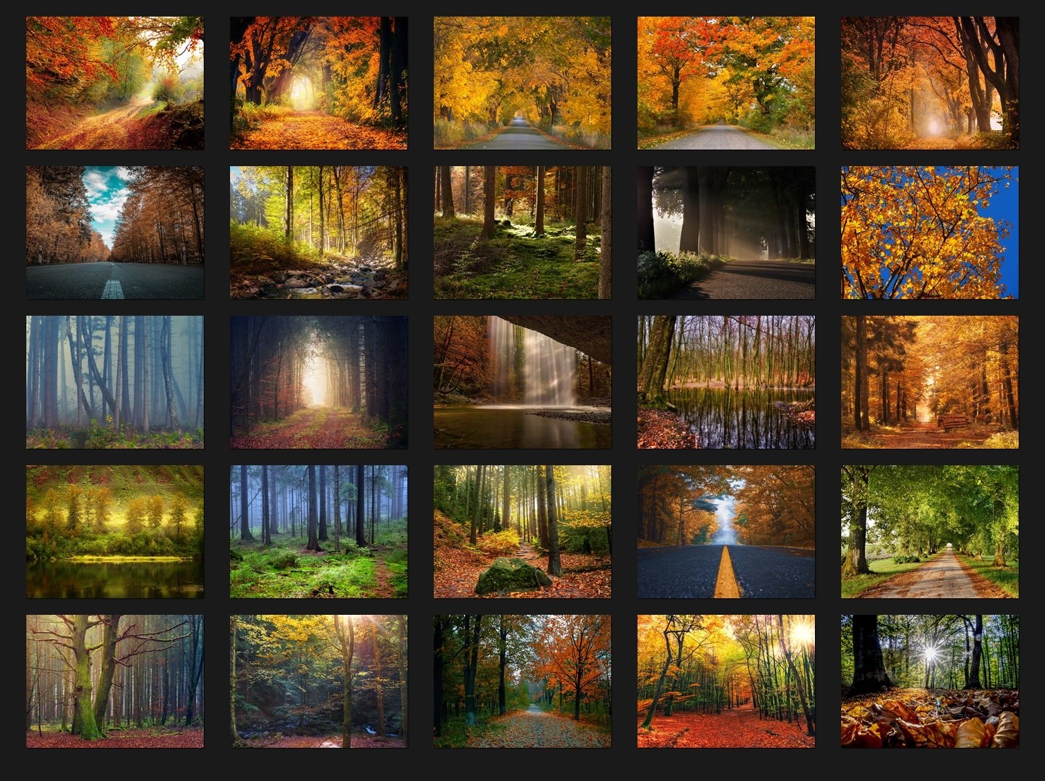 200 AUTUMN TREES PHOTOSHOP OVERLAYS, BACKDROPS, BACKGROUNDS (530395 ...