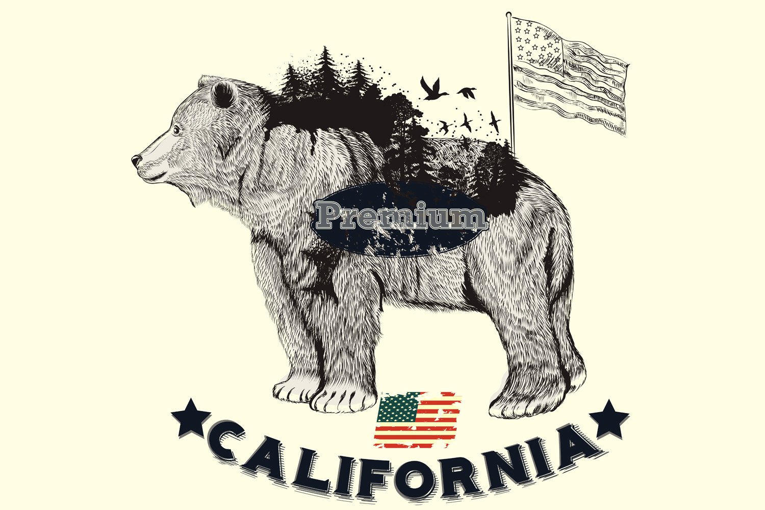 California hand drawn poster with bear and label (342718 ...