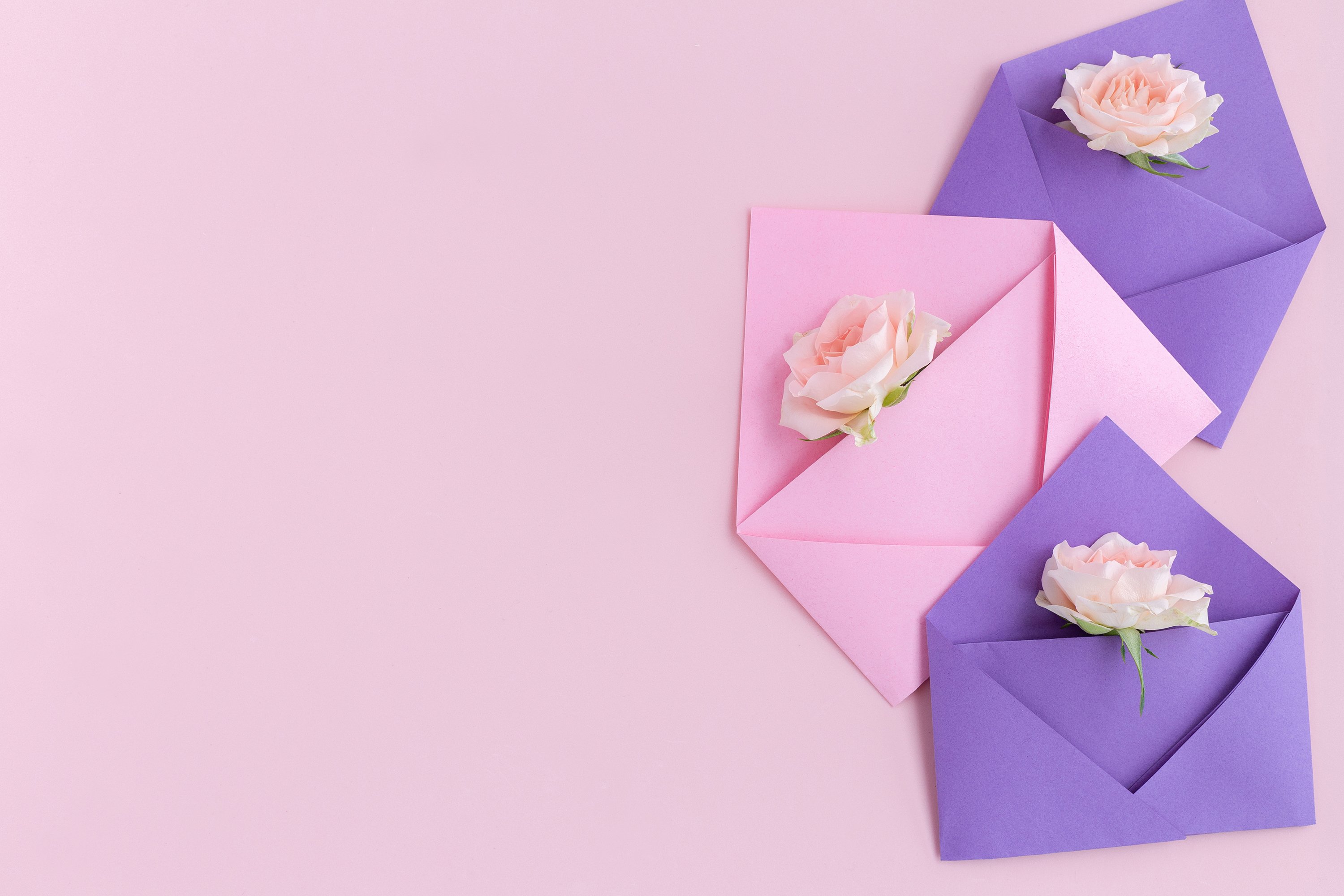 Purple, pink paper envelopes with roses.Flower greeting card (597966 ...