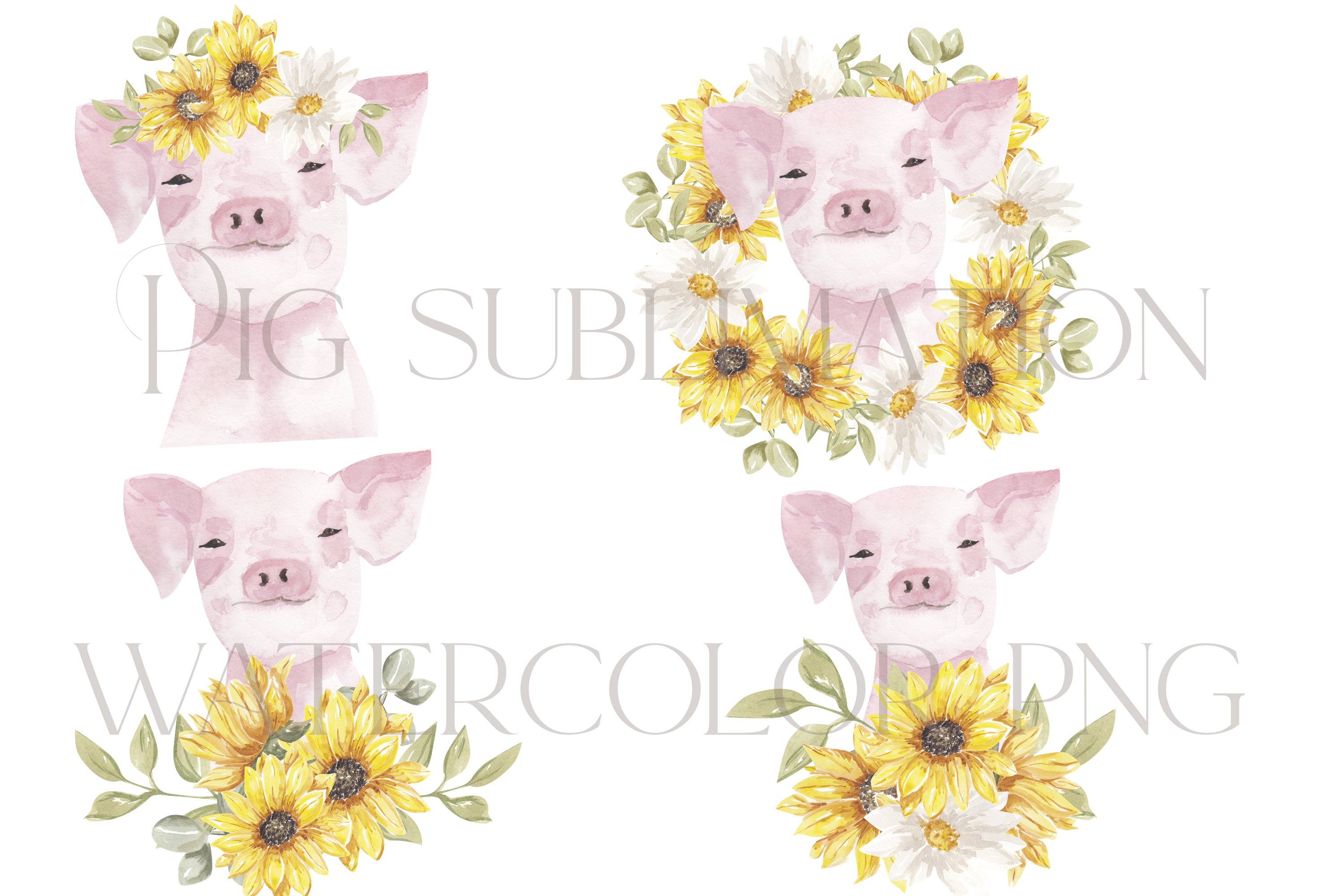 Pig sunflowers PNG, pig sublimation PNG, farm animal clipart (1230923 ...