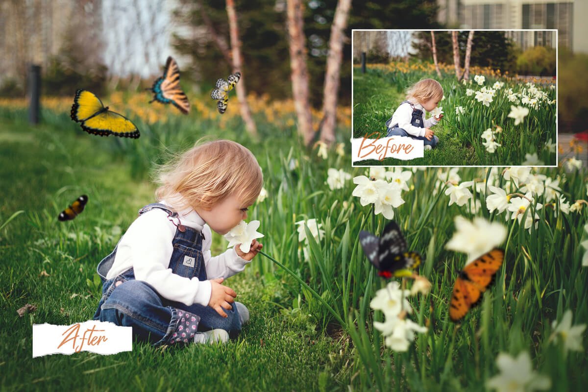 60 Butterflies Photo Overlays (557039) | Elements | Design Bundles