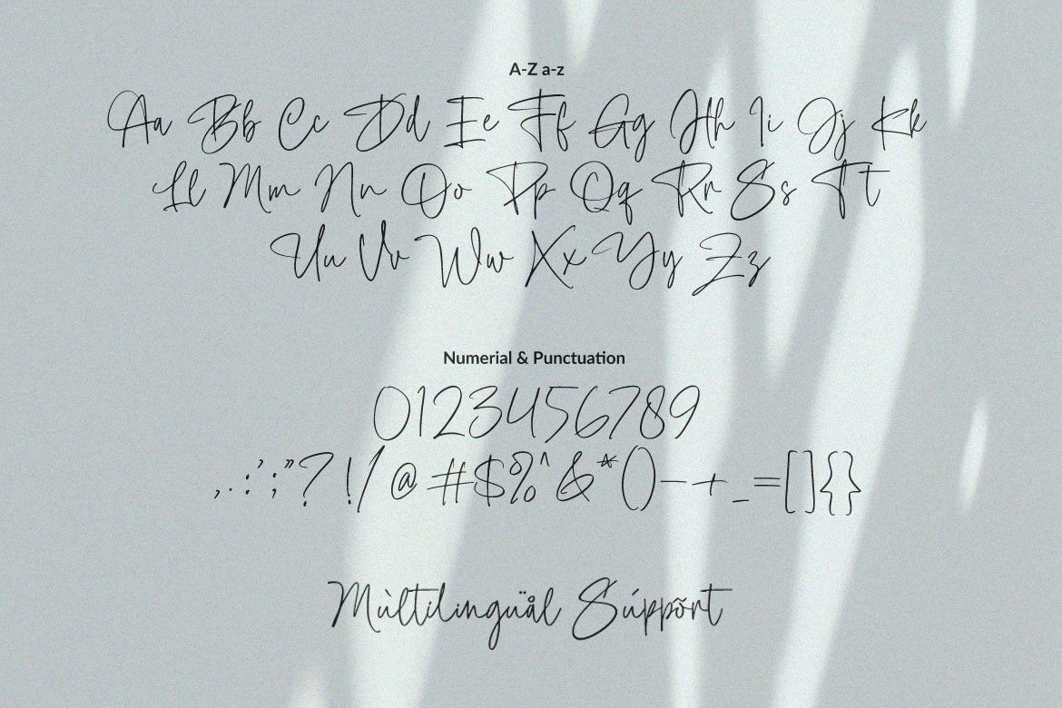 Taylor Hand - Handwritten Signature (941609) | Handwritten | Font Bundles