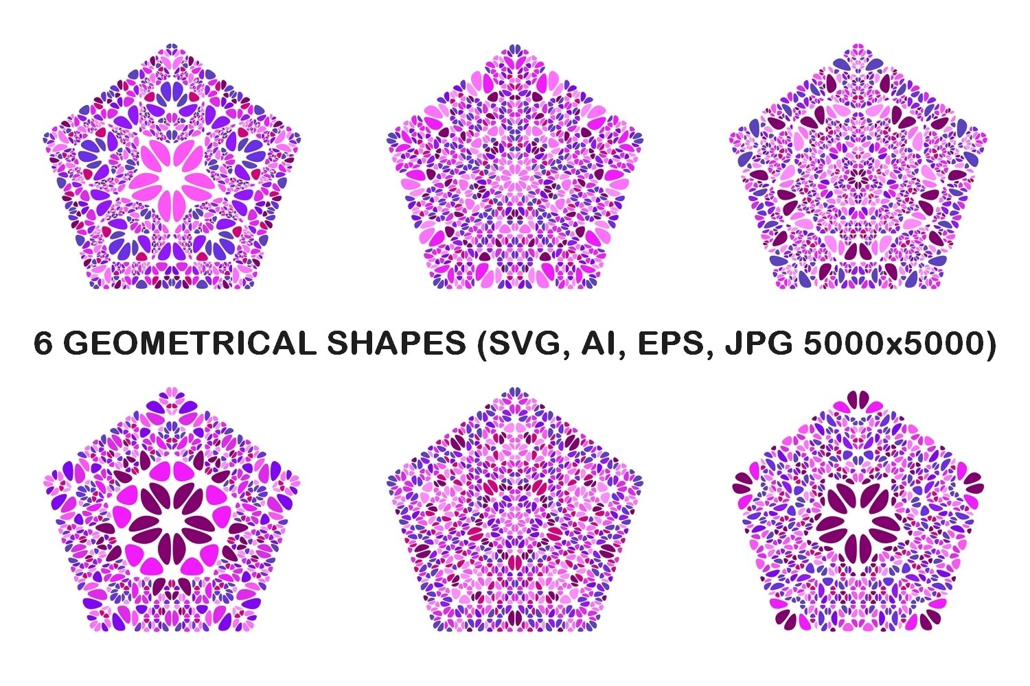 6 Floral Pentagon Logo Templates (343211) | Elements | Design Bundles