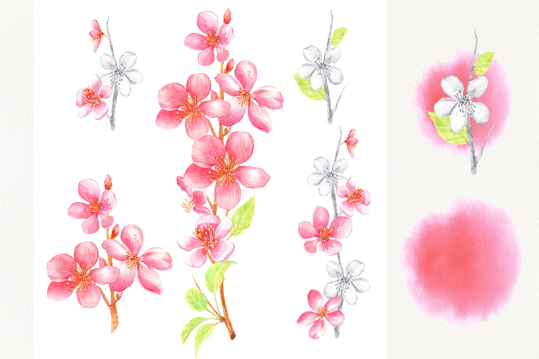 Watercolor Spring Blossom Clip Art (388501) | Illustrations | Design ...