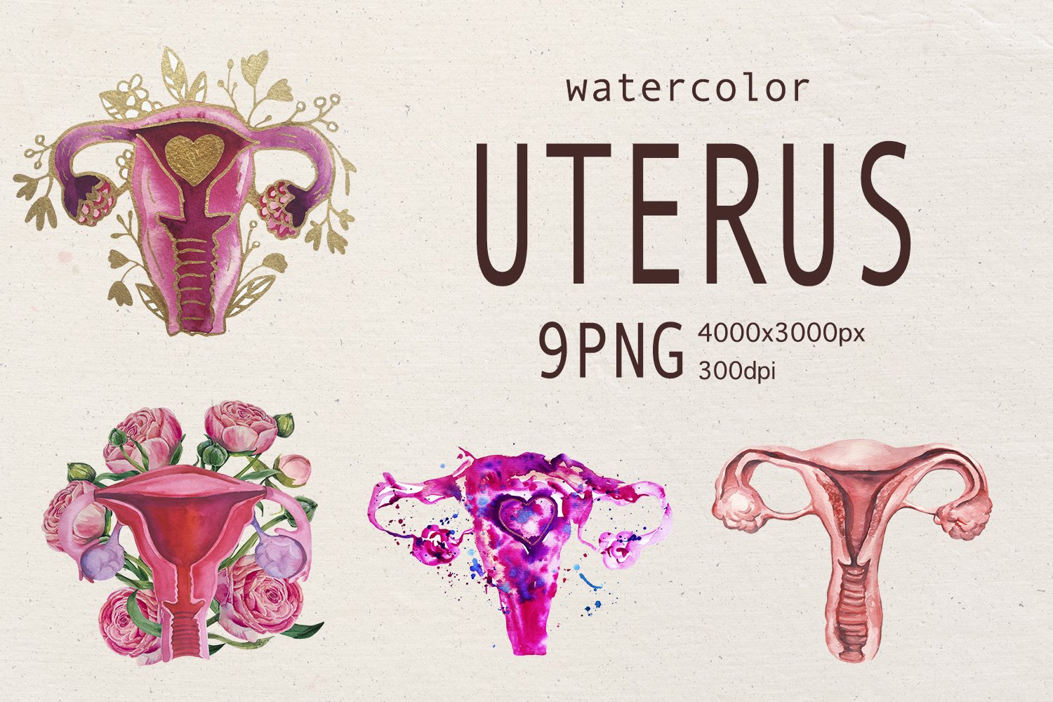 Watercolor Uterus Clipart. (694908) | Illustrations | Design Bundles