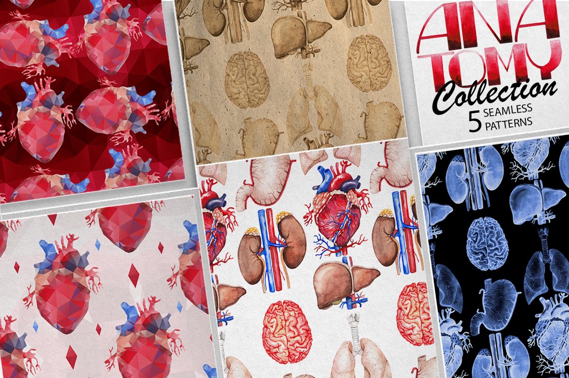 Watercolor anatomy collection (83108) | Illustrations | Design Bundles