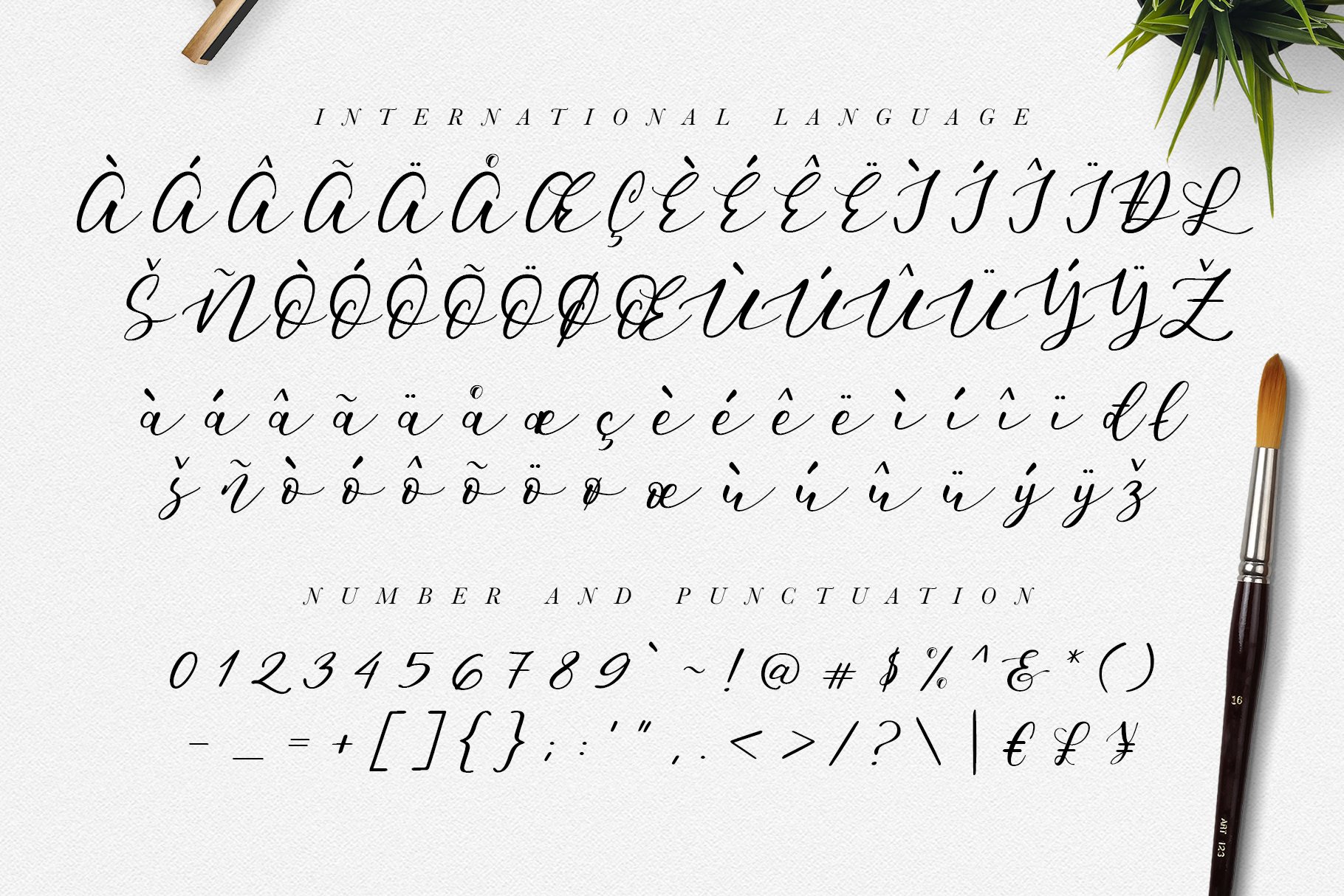 Endita Handwritten Font and Extras (117995) | Calligraphy | Font Bundles