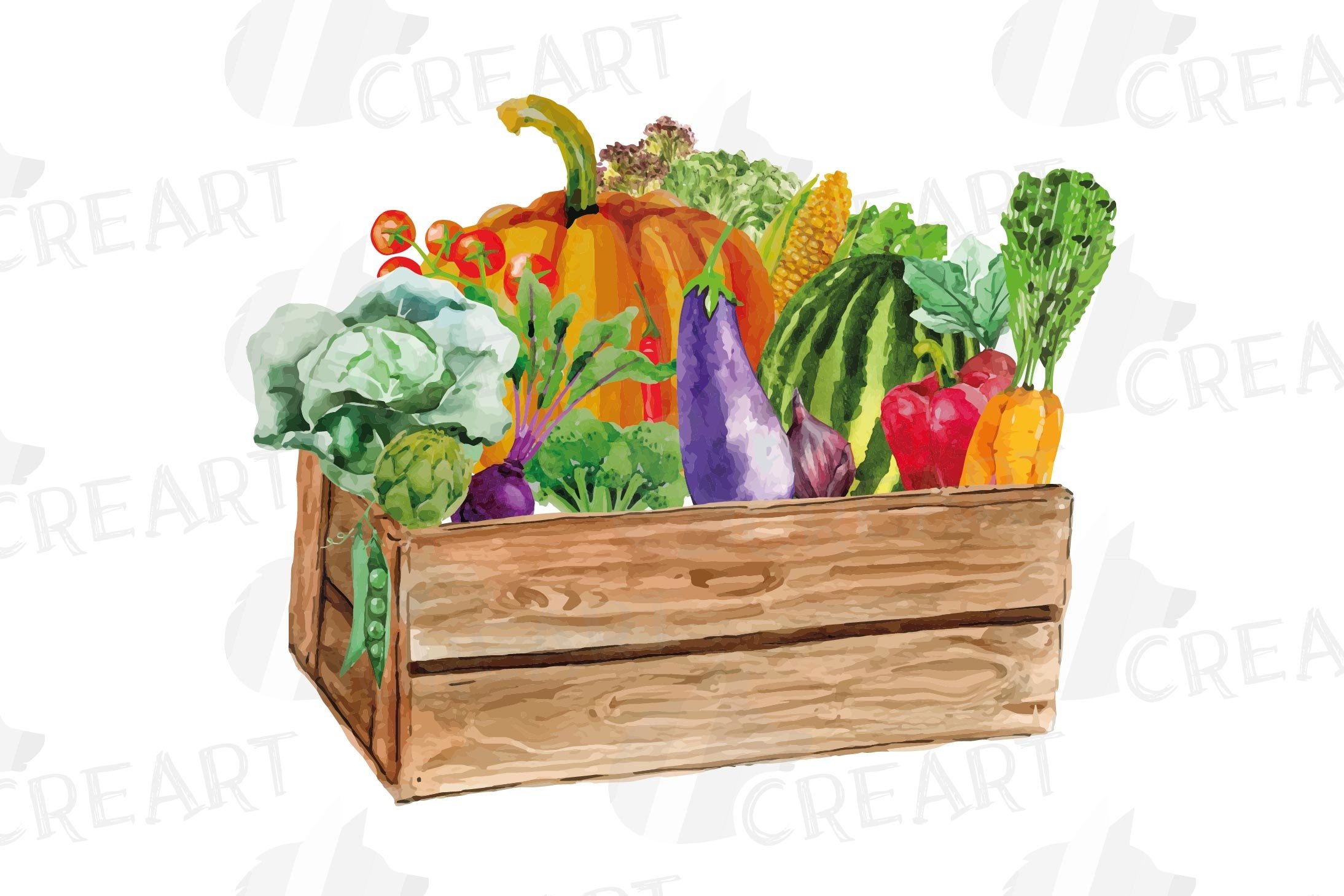 Watercolor Farm Fresh vegetables and fruits in wooden boxes (658301 ...