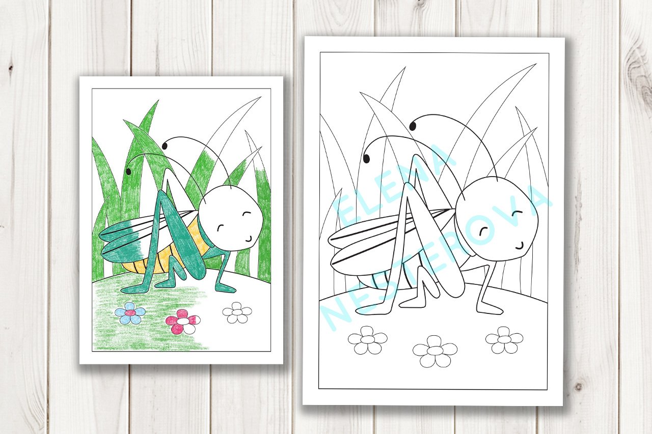 Coloring Pages with insects (789011) | Coloring Pages | Design Bundles