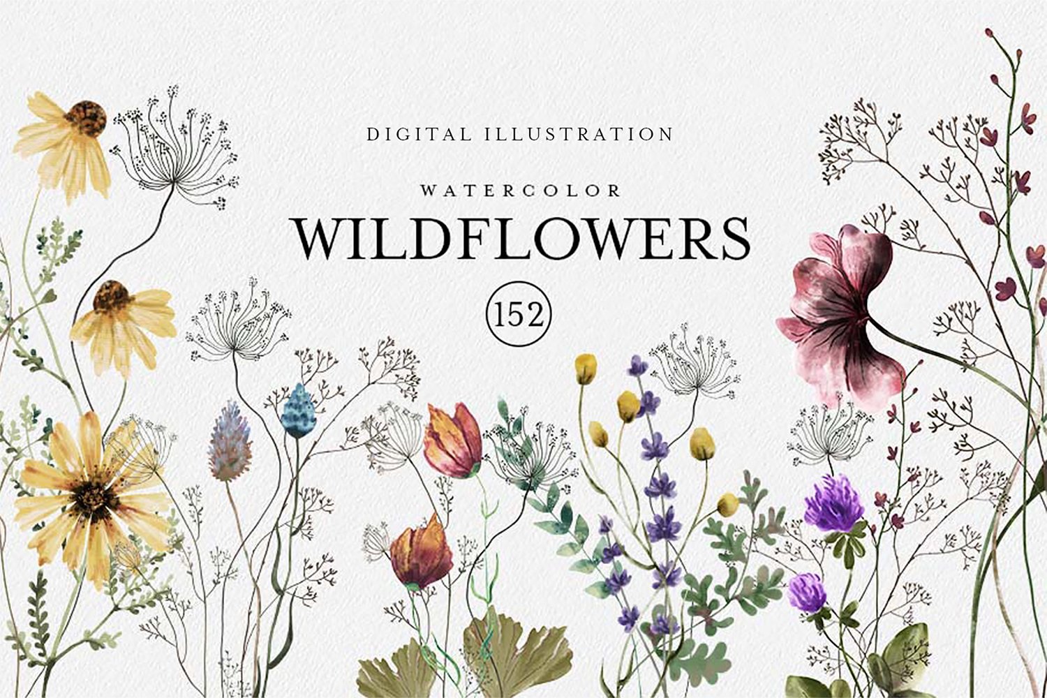 Wildflowers Watercolor