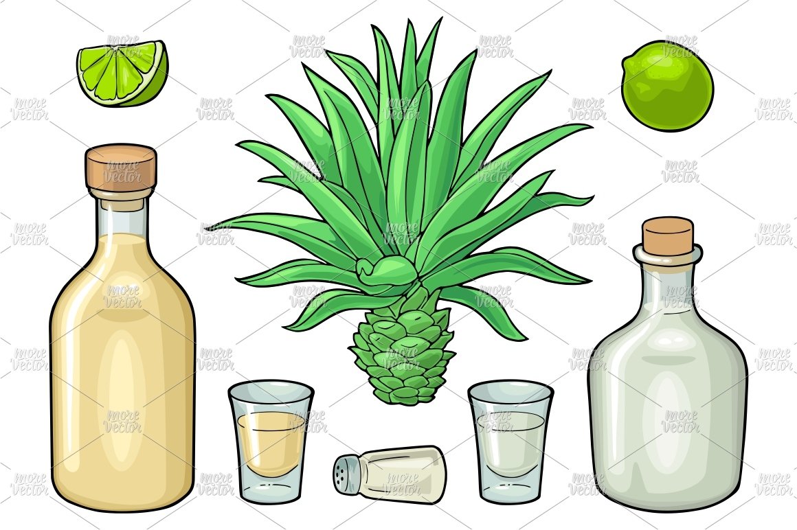 Set tequila Glass bottle cactus blue agave salt slice lime (913327 ...