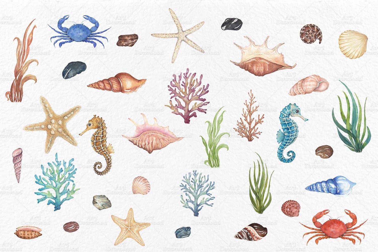 Watercolor Seashells Clip Art , Nautical Clipart (664402 ...