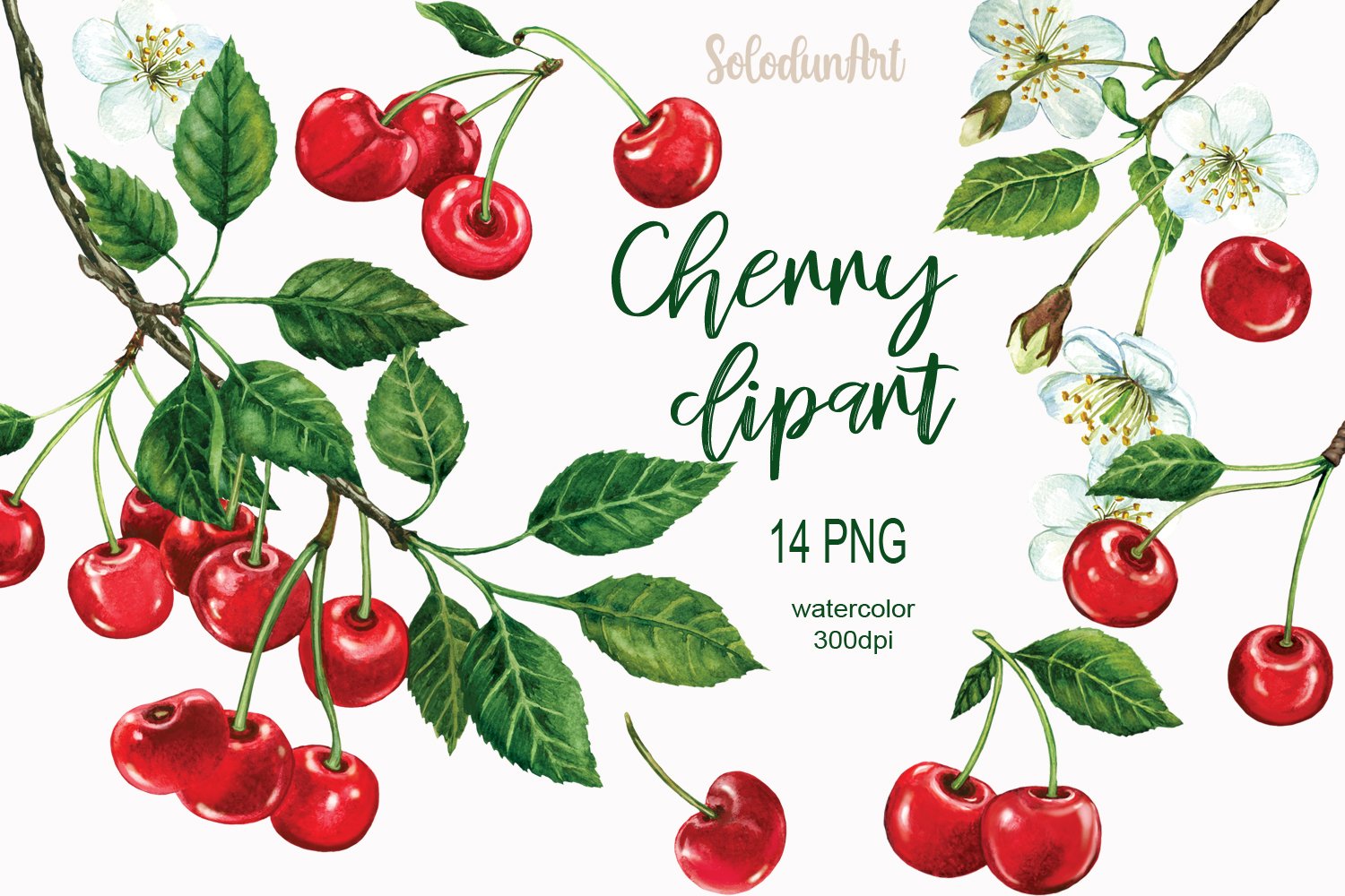 Watercolor cherry clipart (1776609) | Clipart | Design Bundles