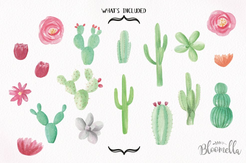 Watercolor Cactus Clipart Elements Flowers Floral (83377 ...