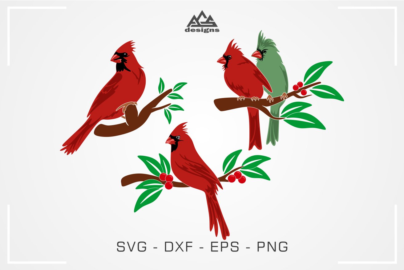 Cardinal Bird Packs Svg Design