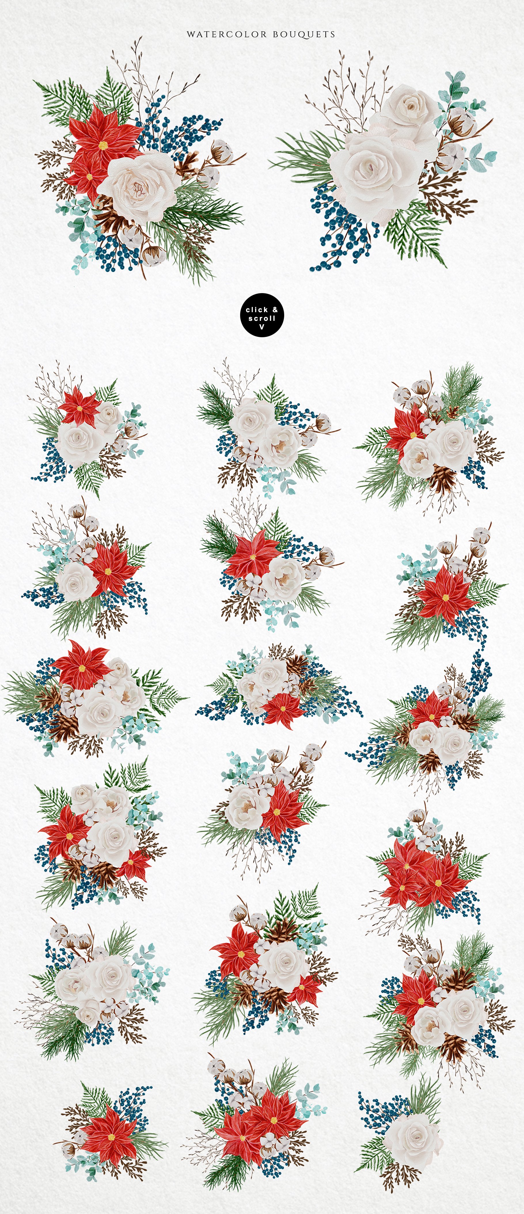 Winter Flower Watercolor Clipart (880125) | Illustrations | Design Bundles