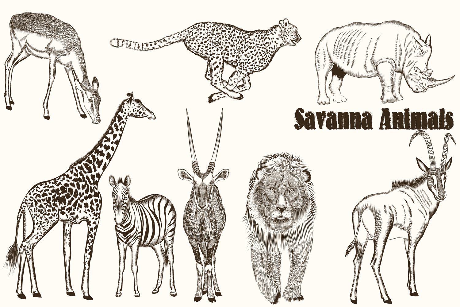 Collection of savanna animals (101911) | Illustrations | Design Bundles