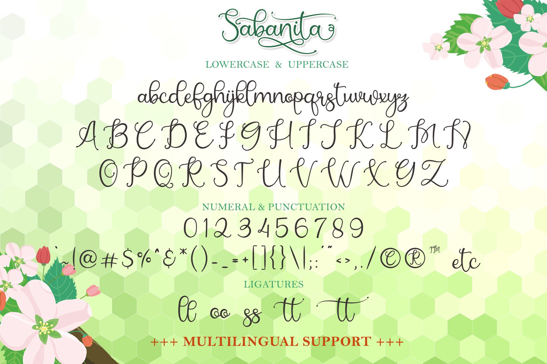 Sabanita (513207) | Calligraphy | Font Bundles